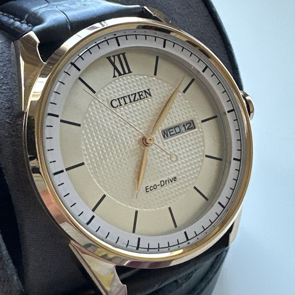Citizen Men 's Classic Day/Date Eco-Drive Ring Brown Watch 42 MM AW0082 ...