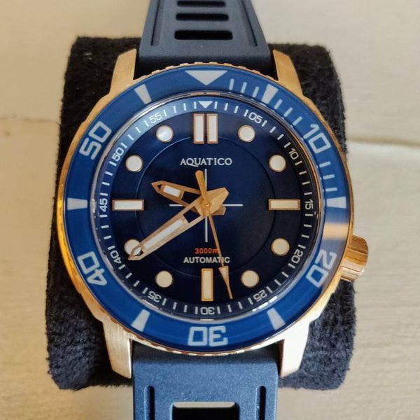 Aquatico Dolphin Bronze | WatchCharts Marketplace