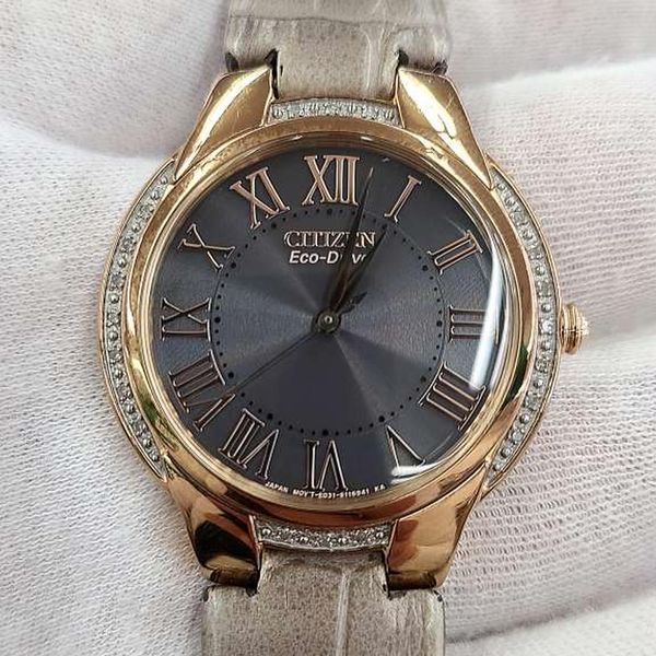 CITIZEN E031-S080509 Eco-Drive Bezel Diamond Men's Tested | WatchCharts ...