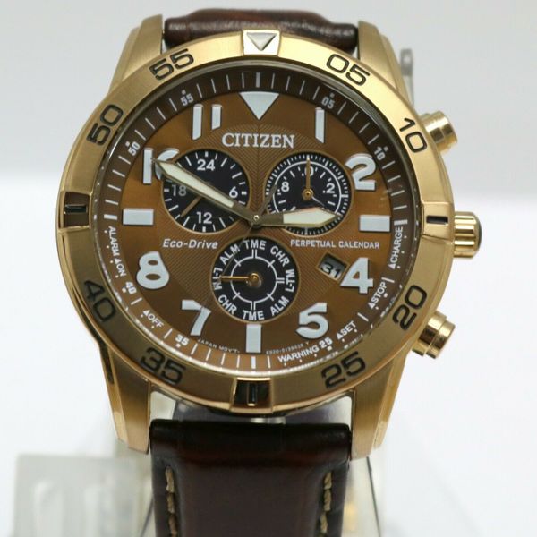 Citizen Eco-Drive Men's E820-S098068 Perpetual Calendar Leather Band ...