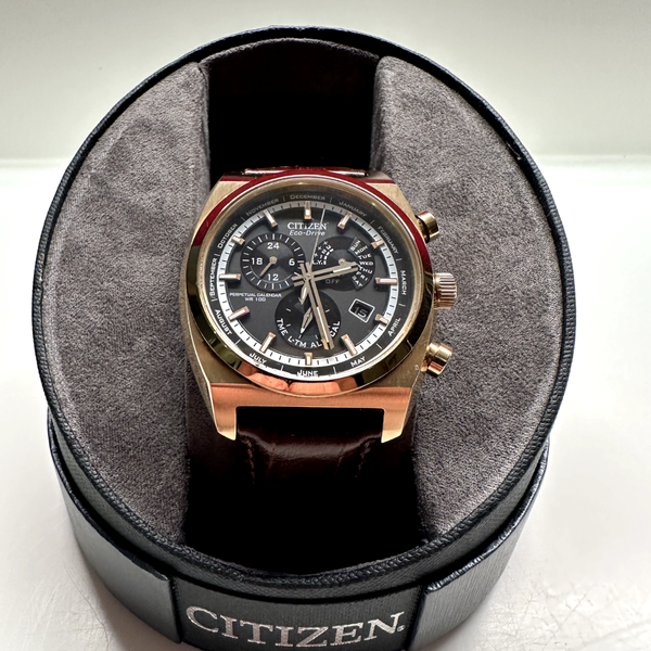 Citizen Eco-Drive Perpetual Calibre 8700 Brown Leather Strap Watch E870 ...