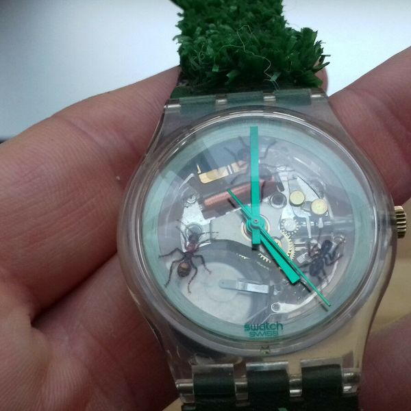 Swatch vintage collection (1997) skz-103 garden turf collector special ...