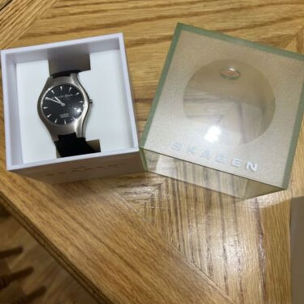 HW Lay 2004 Skagen Men’s Watch | WatchCharts Marketplace