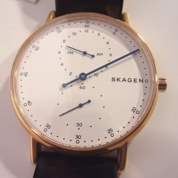 Skagen SKW6390 watch. Quartz. Regulator type. 24 hr AM/PM display ...