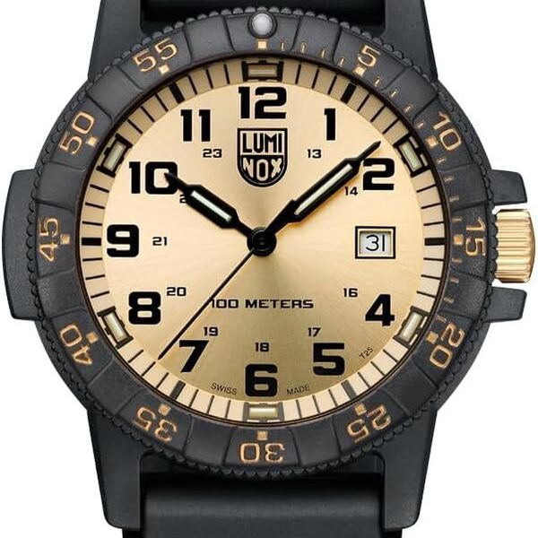 Luminox Men Analog Swiss Quartz Watch with Plastic Strap | WatchCharts ...