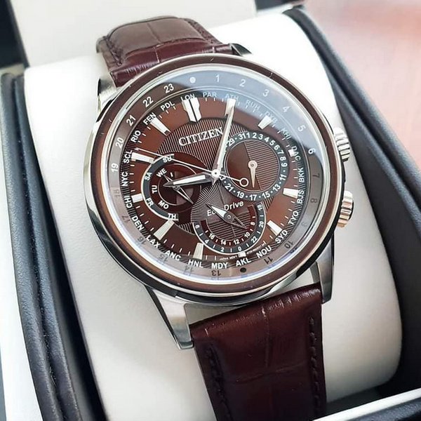 Citizen Calendrier BU2020-29X Brown Dial Stainless Steel Men's Eco ...