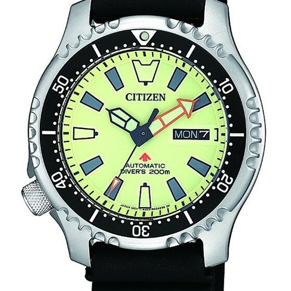 CITIZEN PROMASTER Fugu Limited Edition 999pcs Diver's 200m Automatic ...