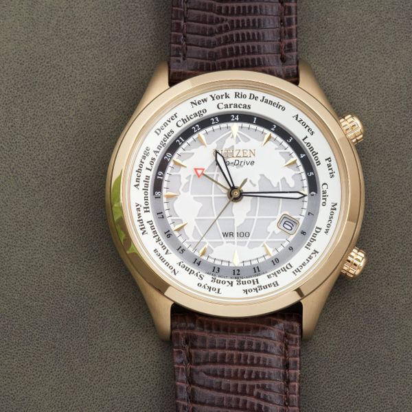 [$300 USD] Citizen GMT World Timer | WatchCharts