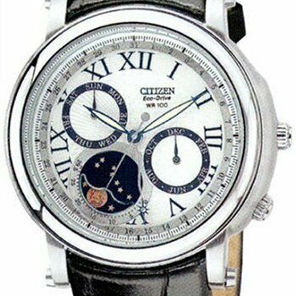NOS Citizen AP1010-00A Eco-Drive 8651 Calibre Moon Phase Men's Watch ...