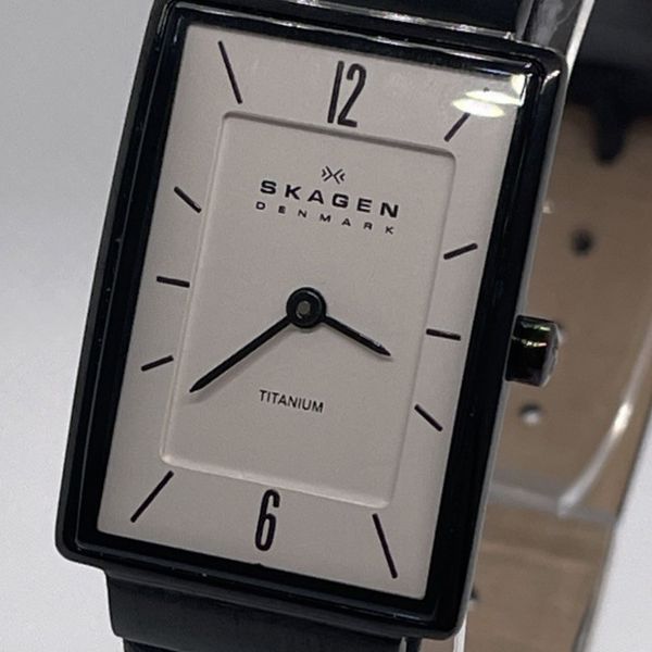 Skagen Titanium Black Womanâ s Tank Watch Black Leather Strap 434STLW ...