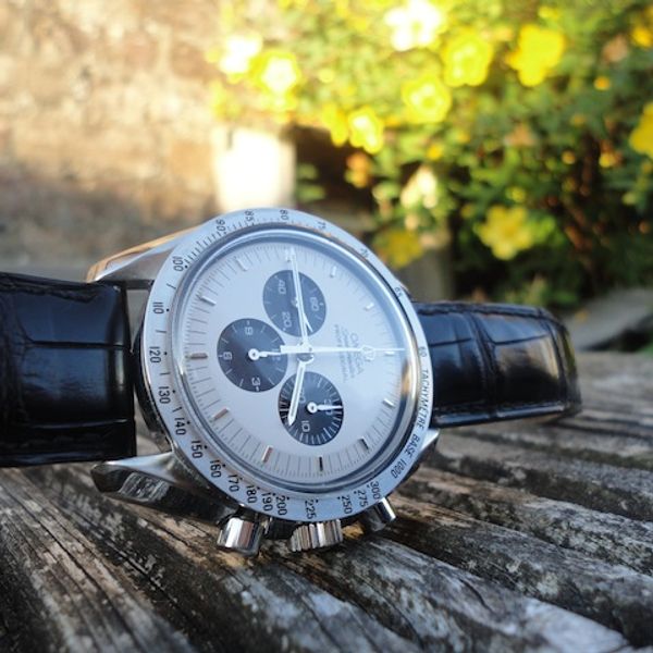 Custom Speedmaster Panda (with display Caseback) | WatchCharts