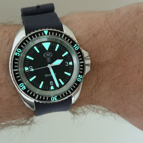 FS CWC 1983 Royal Navy Diver Reissue | WatchCharts