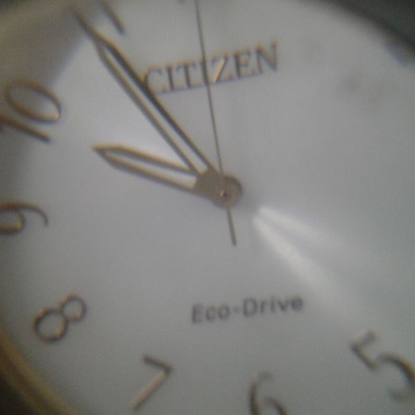 Citizen Eco-Drive Watch E031-R010859 Stainless Steel Brown Leather Band ...