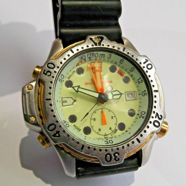 Citizen Diver Promaster Aqualand 200M 5812-F80014 Quartz Working Gents ...