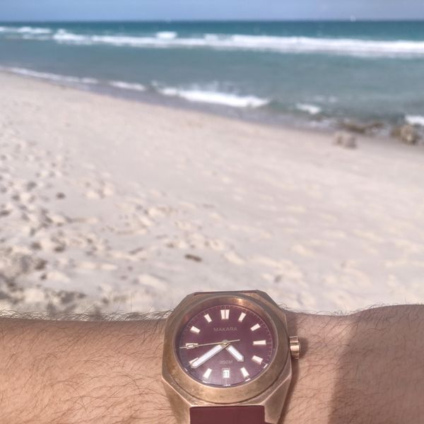 [WTS][WTT] Makara Hawksbill Sea Turtle maroon - Cheap 300m Bronze Auto ...