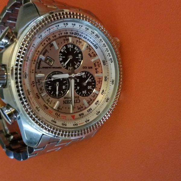 Citizen "PANDA" 1/10TH Sec Chronograph Perpetual Calendar | WatchCharts