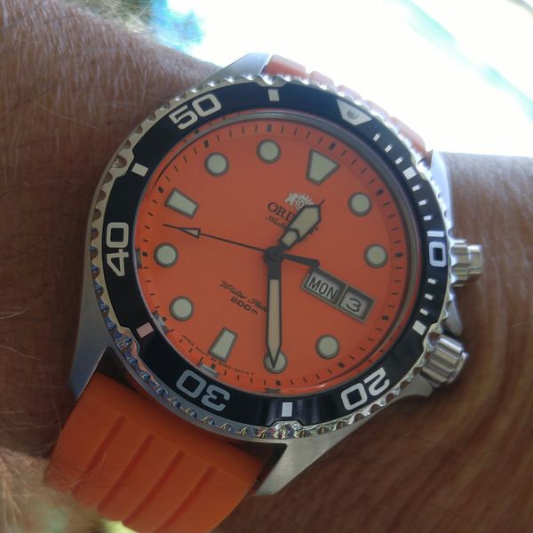 Orient Ray Orange | WatchCharts Marketplace