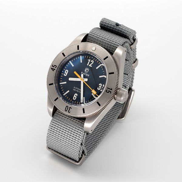 FS: Raven Trekker gen2 ETA 2824 Grey Dial Full Kit | WatchCharts UK