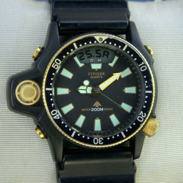 Citizen Promaster Aqualand c022 6 Screws Vintage Diver 200m Black PVD ...
