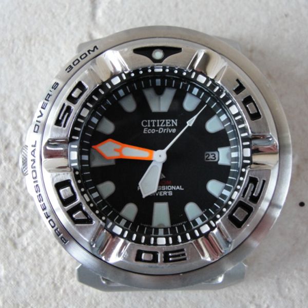 Citizen Eco-Zilla with Walt adapters | WatchCharts