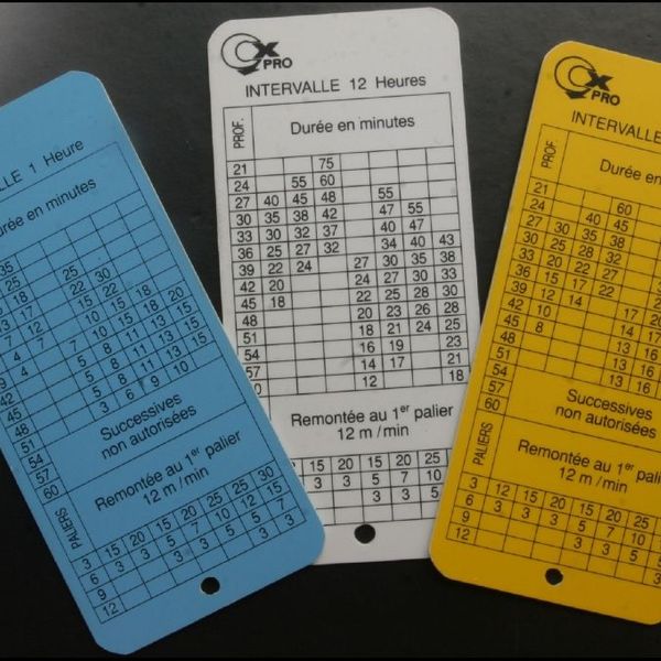 FS : Comex diving tables REDUCED | WatchCharts Marketplace