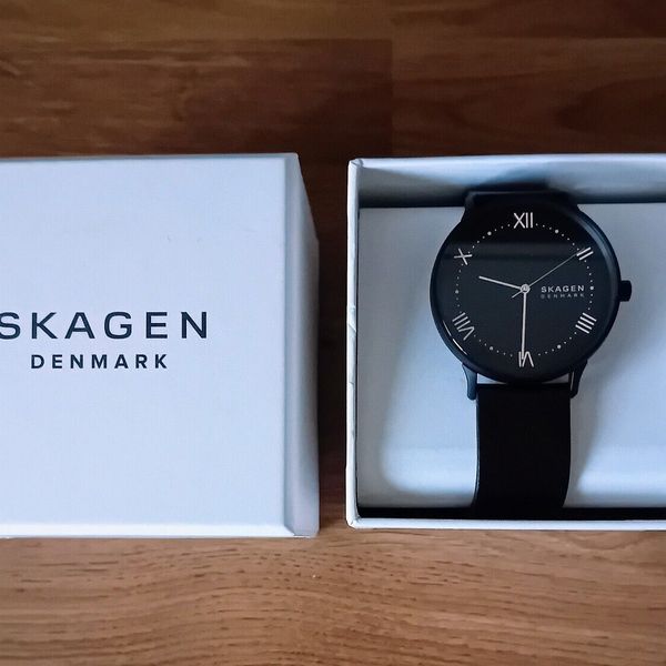Men's Skagen Watch. NEW. | WatchCharts Marketplace