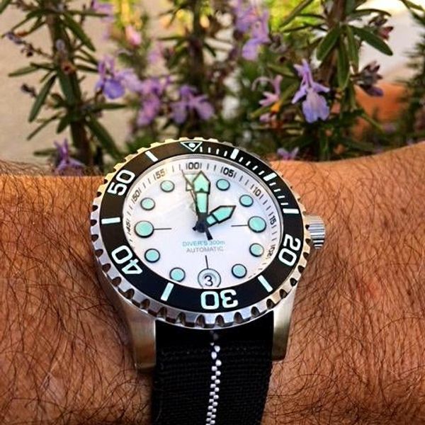 [WTS] Helm Komodo Dive Watch White Dial 40mm | WatchCharts Marketplace