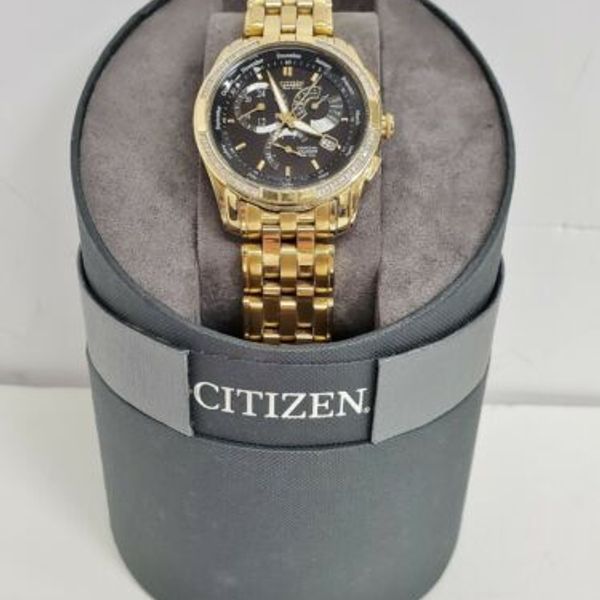 Citizen Eco-Drive E870-S043239 Perpetual Calendar Wrist Watch W/ Box ...