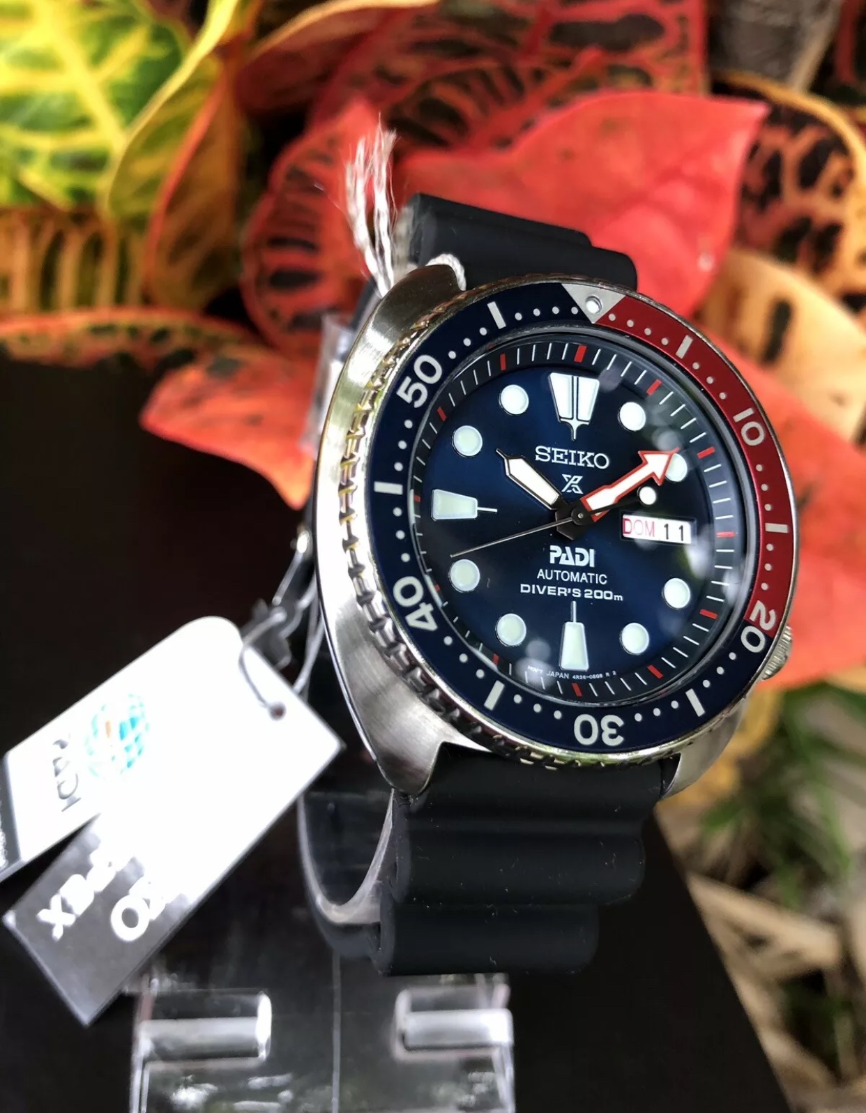 FS Seiko PADI Turtle dive watch | WatchCharts