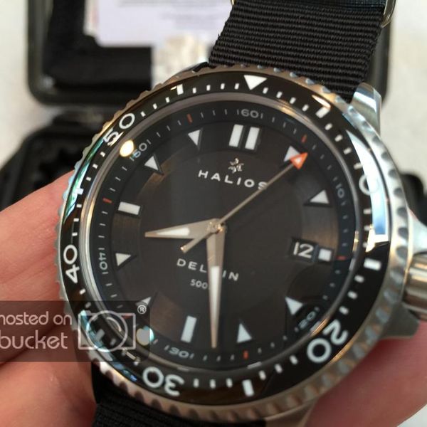 FS: HALIOS Delfin - Brand New | WatchCharts Marketplace