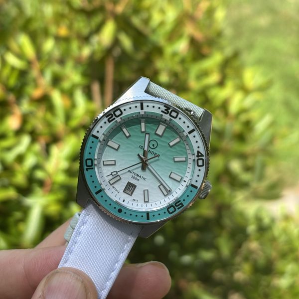 FS: 5 Affordables: Moonswatch, Ti Ecozilla, Islander, Swatch, Nautis ...