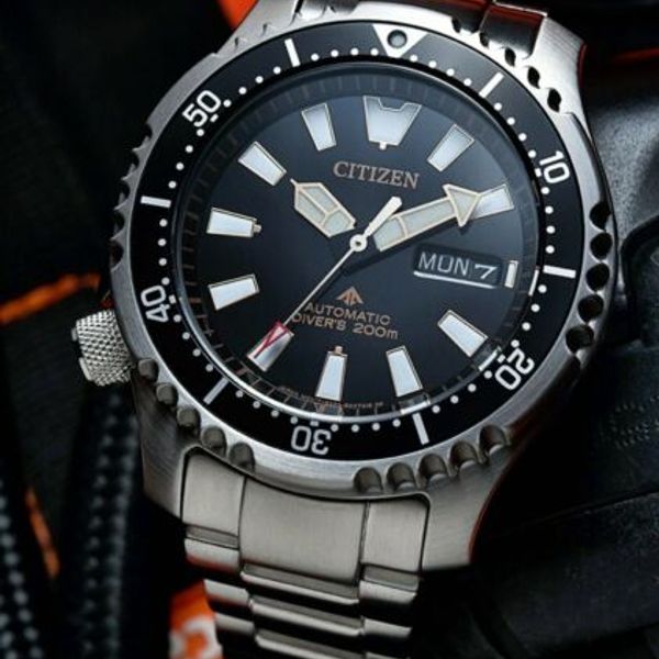 CITIZEN PROMASTER Fugu Limited Edition Diver's 200m Automatic NY0090 ...