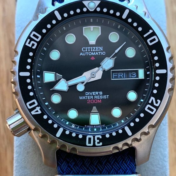 Citizen Promaster Sea Automatic Dive Black Dial Watch NY0040-09EE ...