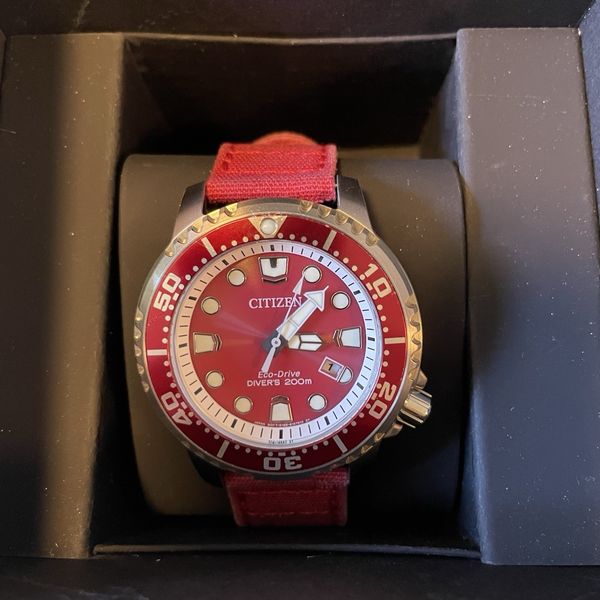 Citizen Promaster Eco Drive Solar-Powered Dive Watch ISO Certified ...