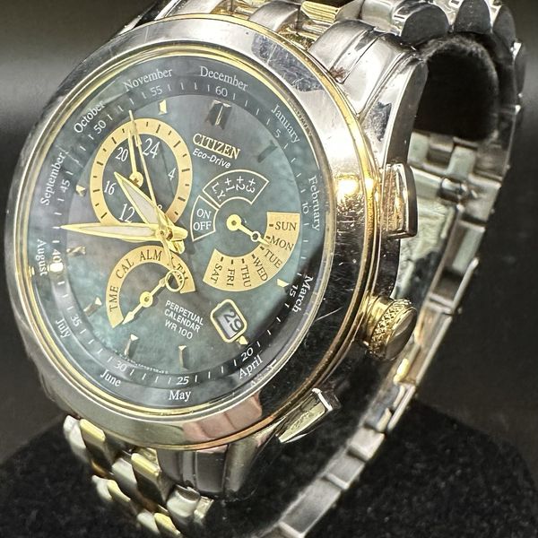 Citizen Eco Drive E870-S015294 Calibre 8700 Perpetual Calendar Black ...