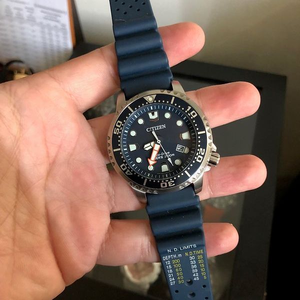 FS Citizen Promaster Professional Diver Blue dial BN0151-09L ...