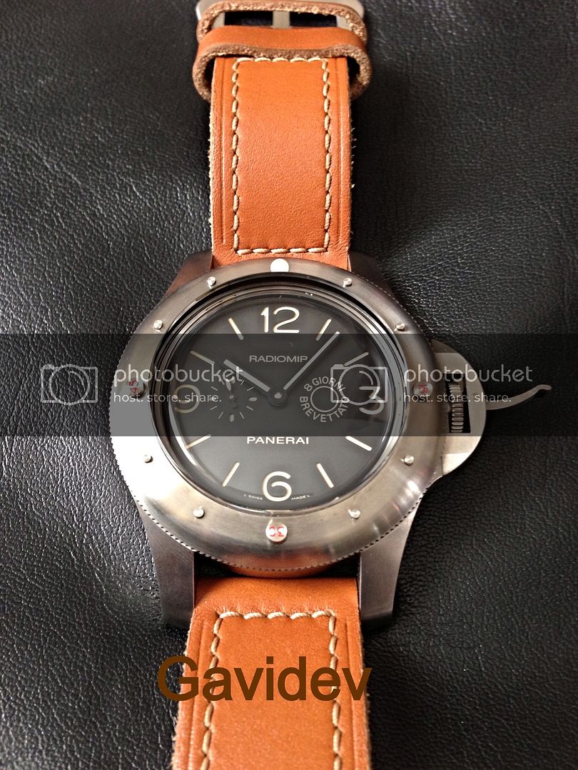 FS Panerai Pam 341 Egiziano, Big Egyptian | WatchCharts Marketplace