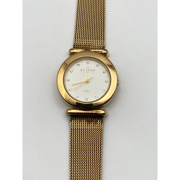 Skagen 107SGGD Womens Watch 25mm - New Battery - WR3ATM All Stainless ...
