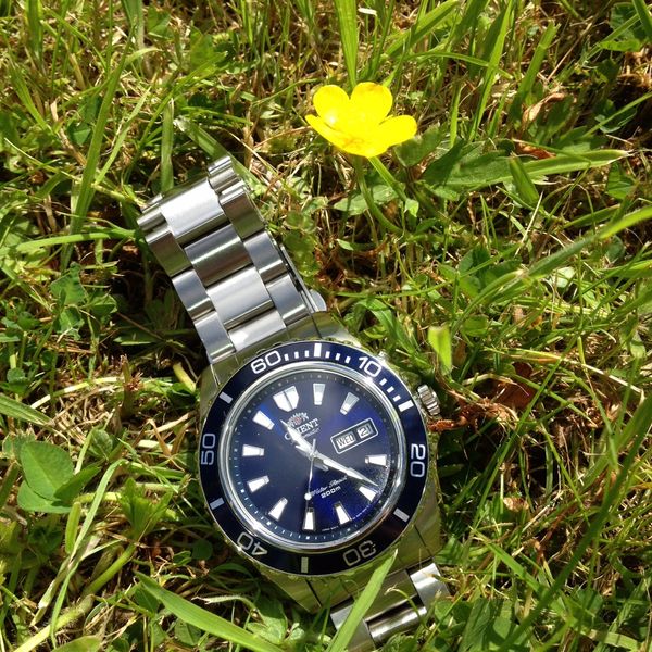 FS orient mako xl blue | WatchCharts