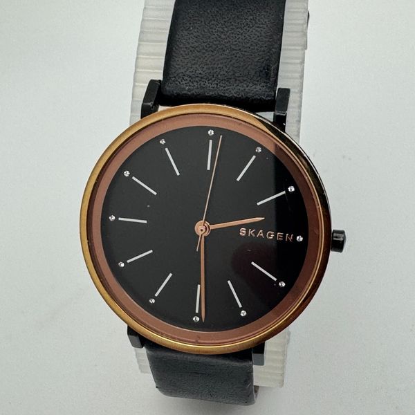 Skagen Quartz Watch SKW2490 Women 30m Rose Gold Tone Steel Leather~ New ...