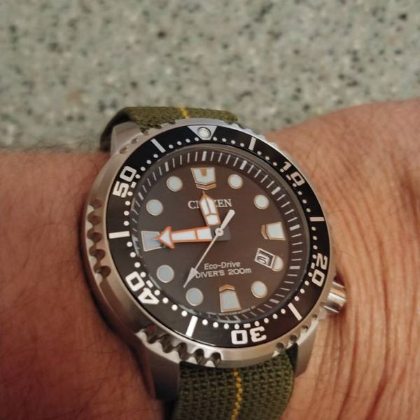 Citizen promaster black | WatchCharts