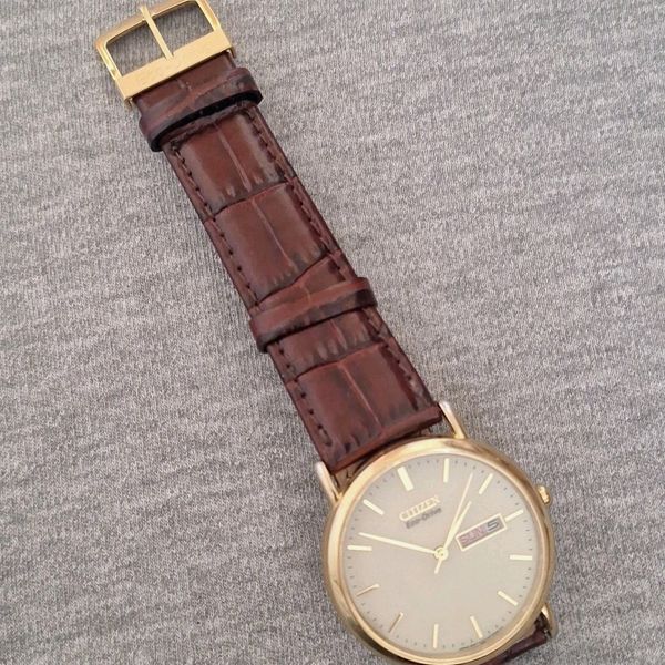 Mens Citizen Eco-Drive E101 Wristwatch | WatchCharts Marketplace