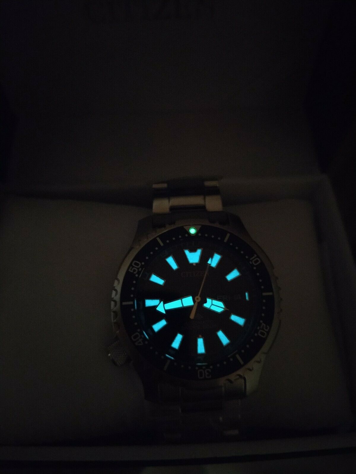 CITIZEN Promaster Fugu Limited Edition Diver's 200m NY0090-86E ...
