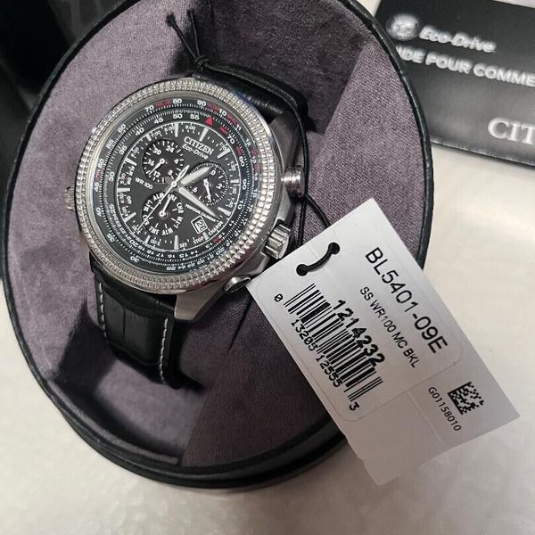 Citizen Eco-Drive Perpetual Calendar Chronograph Pilot Men Watch BL5401 ...