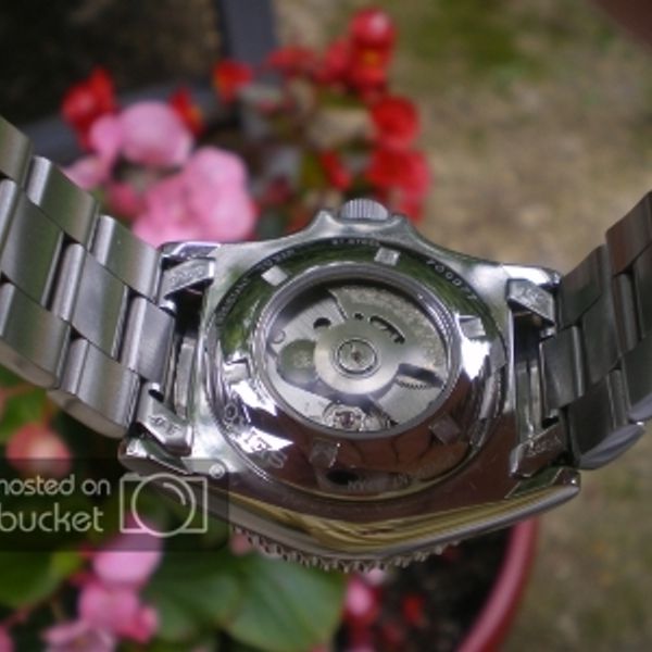 SOLD: Seiko SKX031 diver | WatchCharts