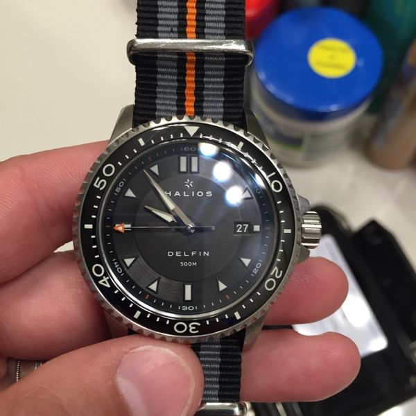 Halios Delfin | WatchCharts Marketplace