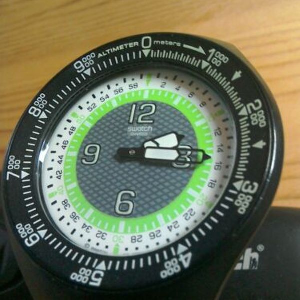 Swatch Fun Boarder Watch | WatchCharts