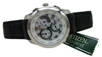 Citizen BL8000-03A Calibre 8700 Eco Drive Perpetual Calendar Men's ...