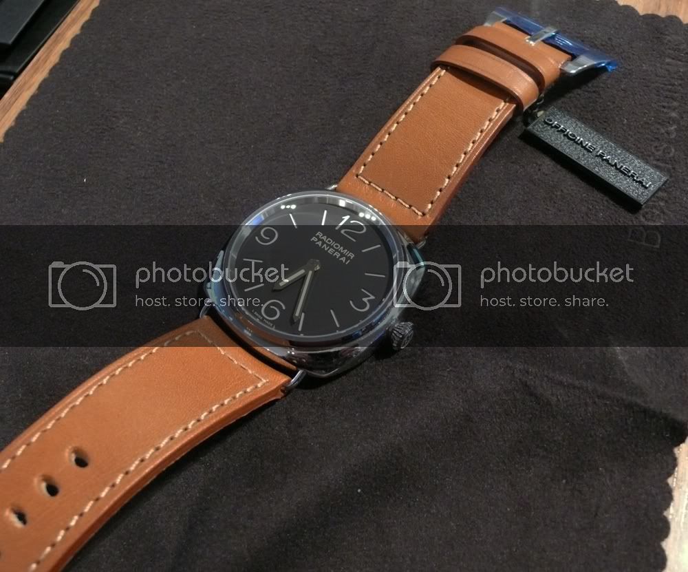 Pam 232 (sajafzal) | WatchCharts