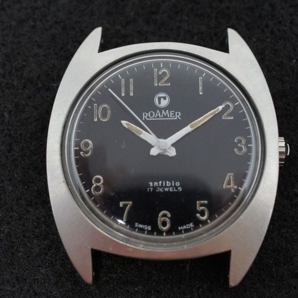FS: Rhodesian Military Roamer Anfibio Rare "Z' Only Markings | WatchCharts